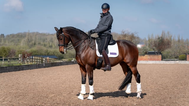 Equestrian Training Videos & Riding Exercises | Ridely