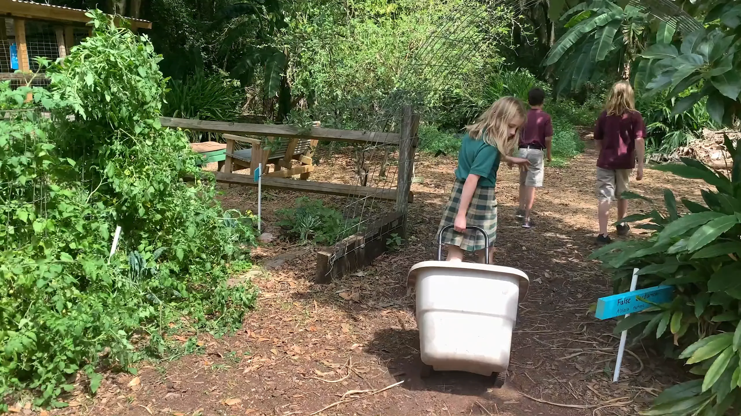 lg_garden (1440p) on Vimeo