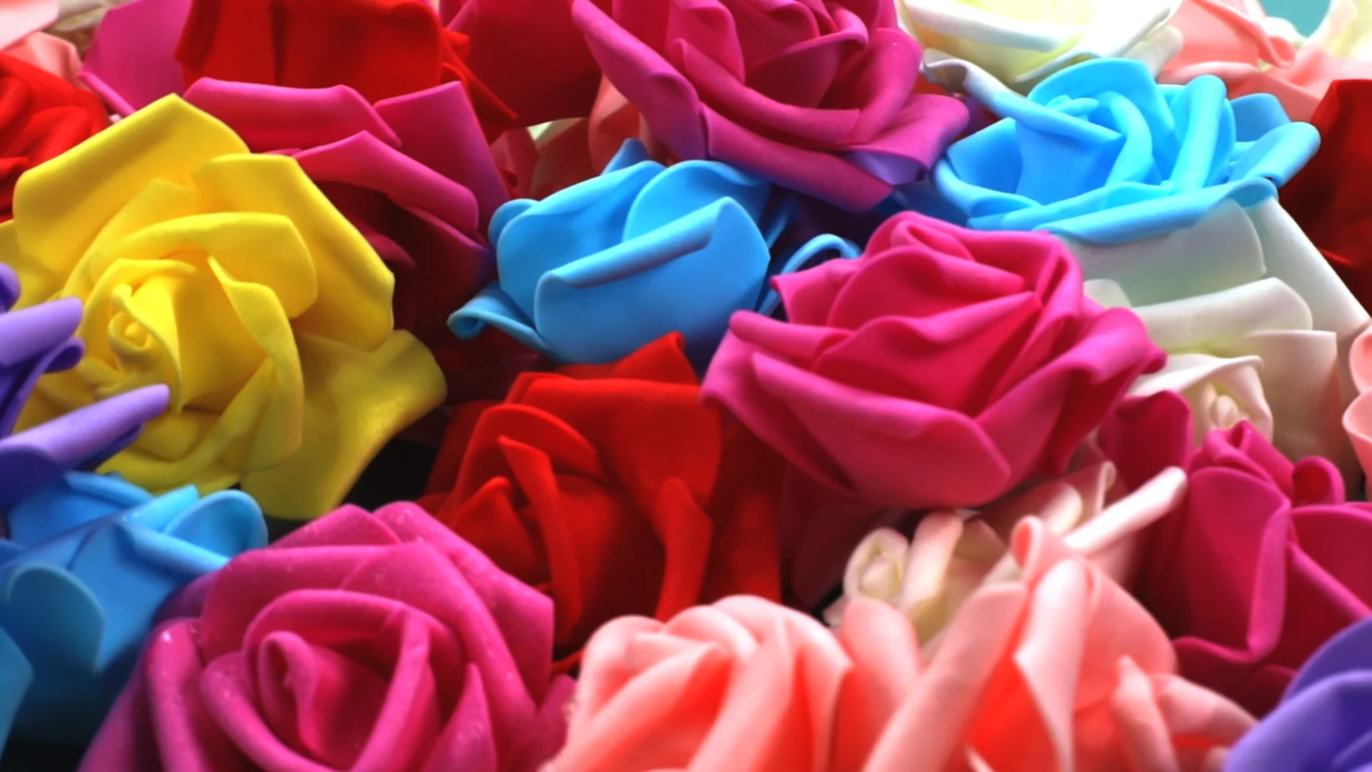 flowers_27s on Vimeo