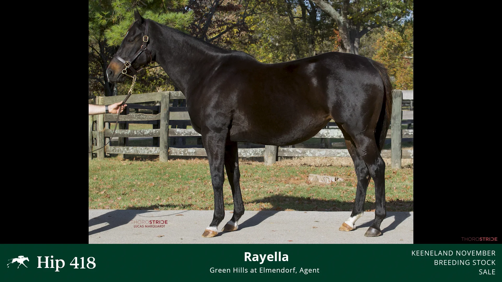 KEENOV23_Hip 418_RAYELLA on Vimeo