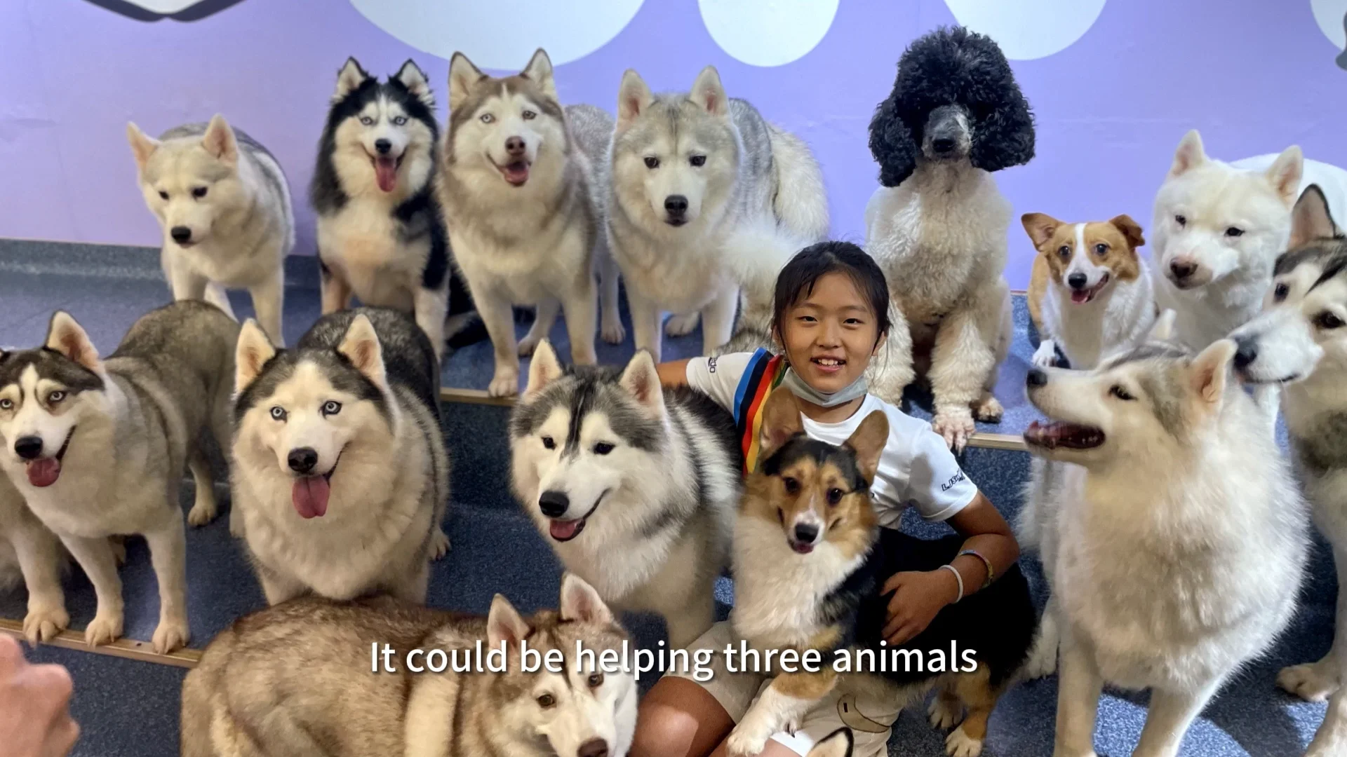Amy Xia Self-Intro Video on Vimeo