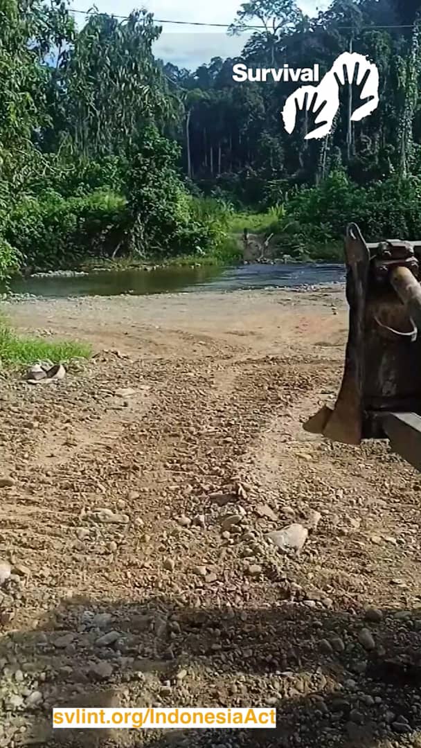 New "catastrophic" footage shows uncontacted tribe near nickel mine on ...