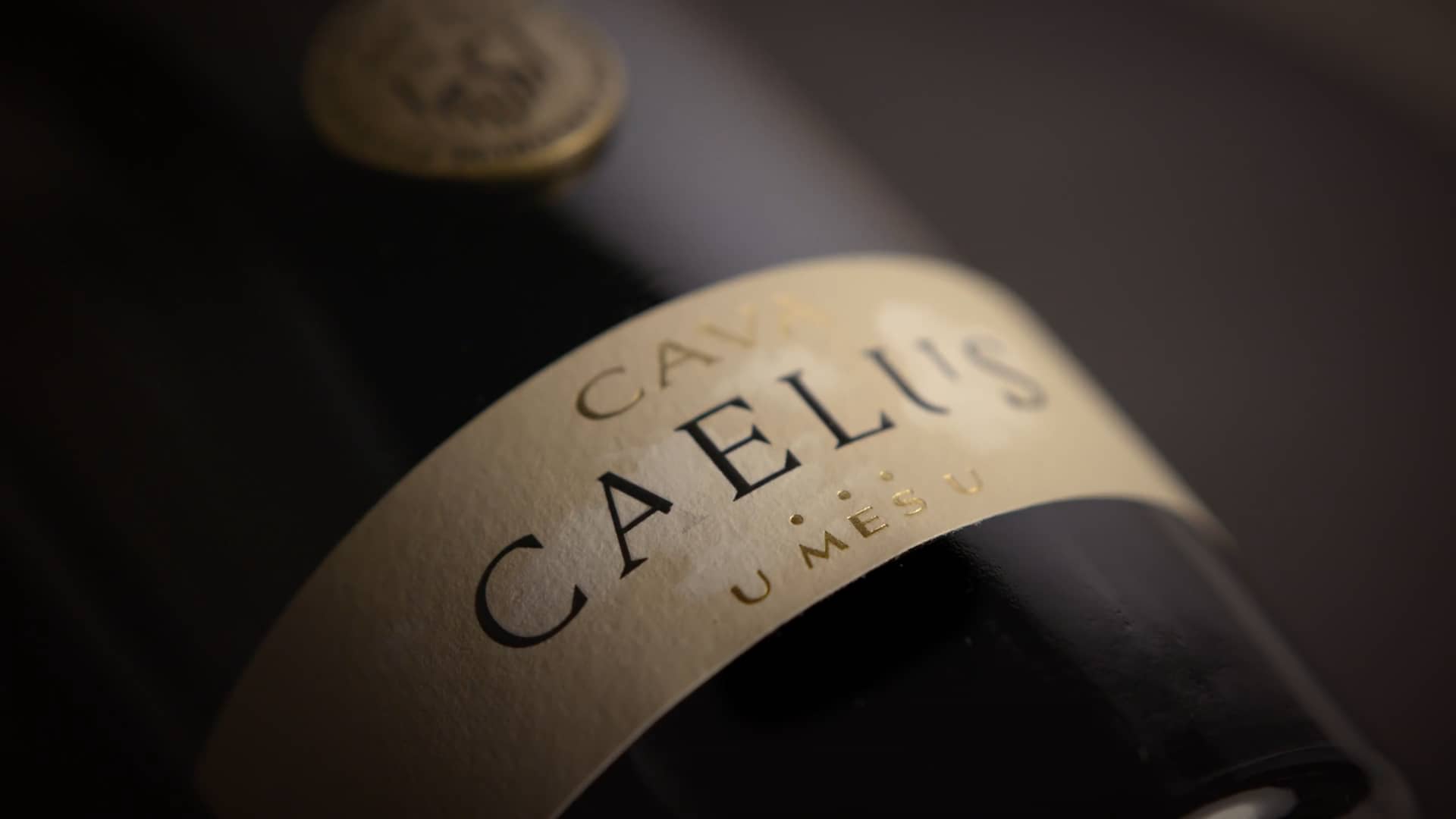 Caelus from U MES U, the new Cava Gran Reserva on Vimeo