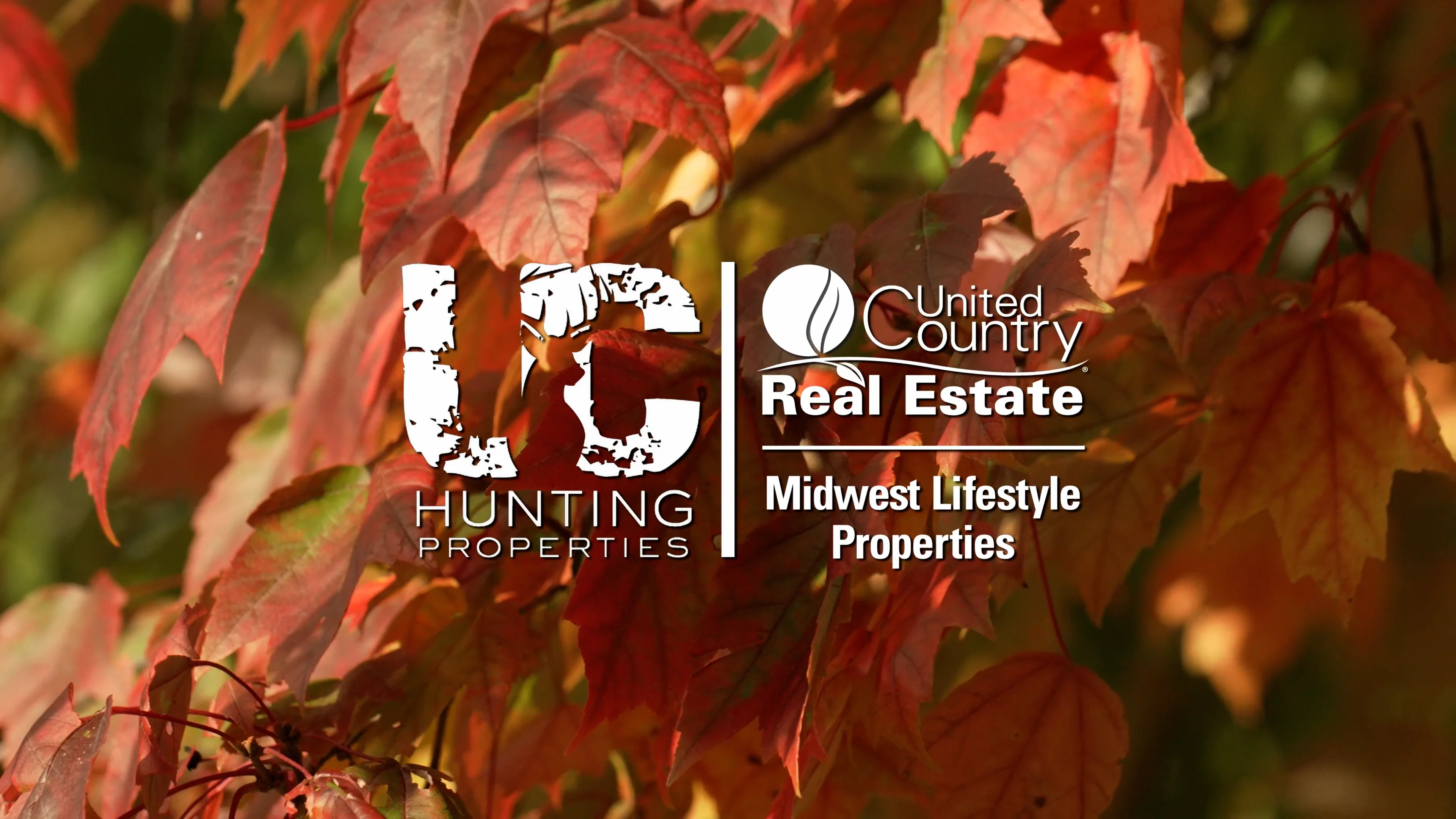 Desoto 67 - Josh Genz on Vimeo