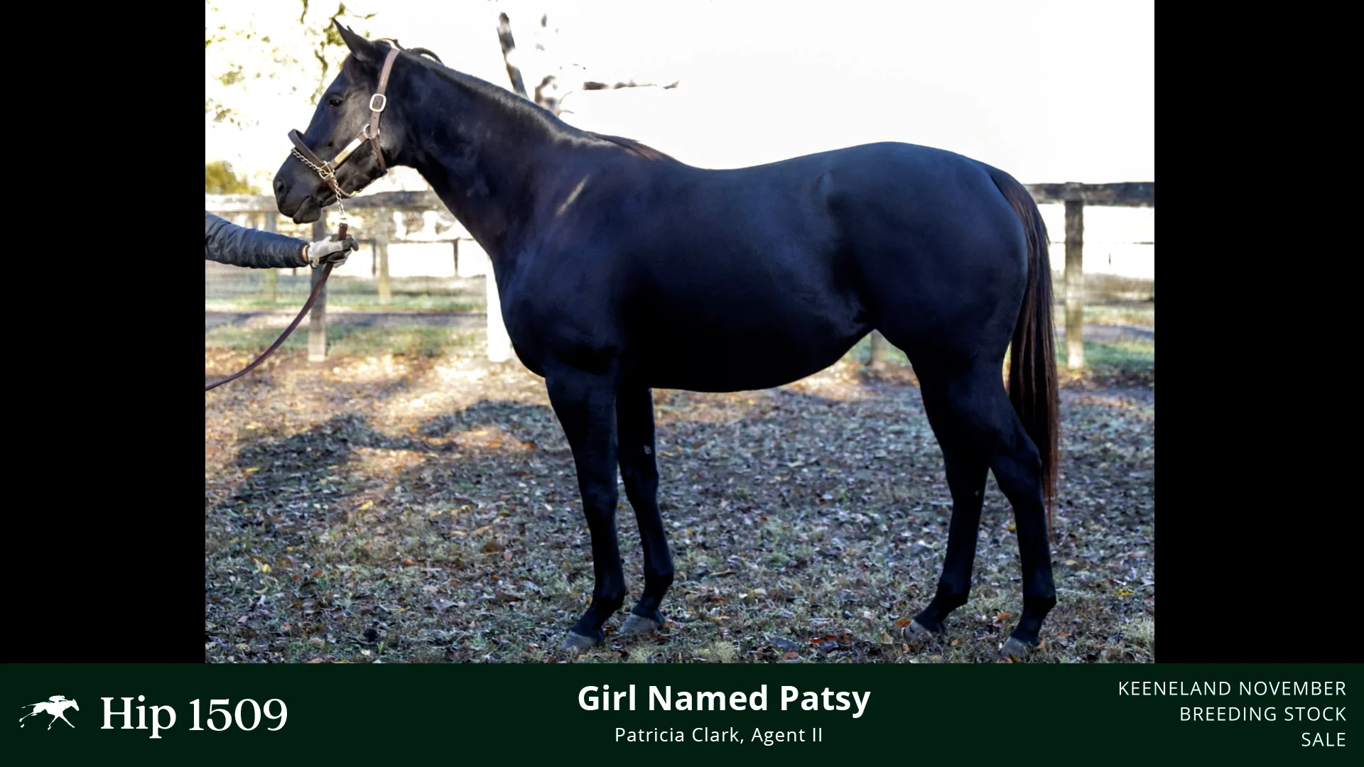 1509 Girl Named Patsy on Vimeo