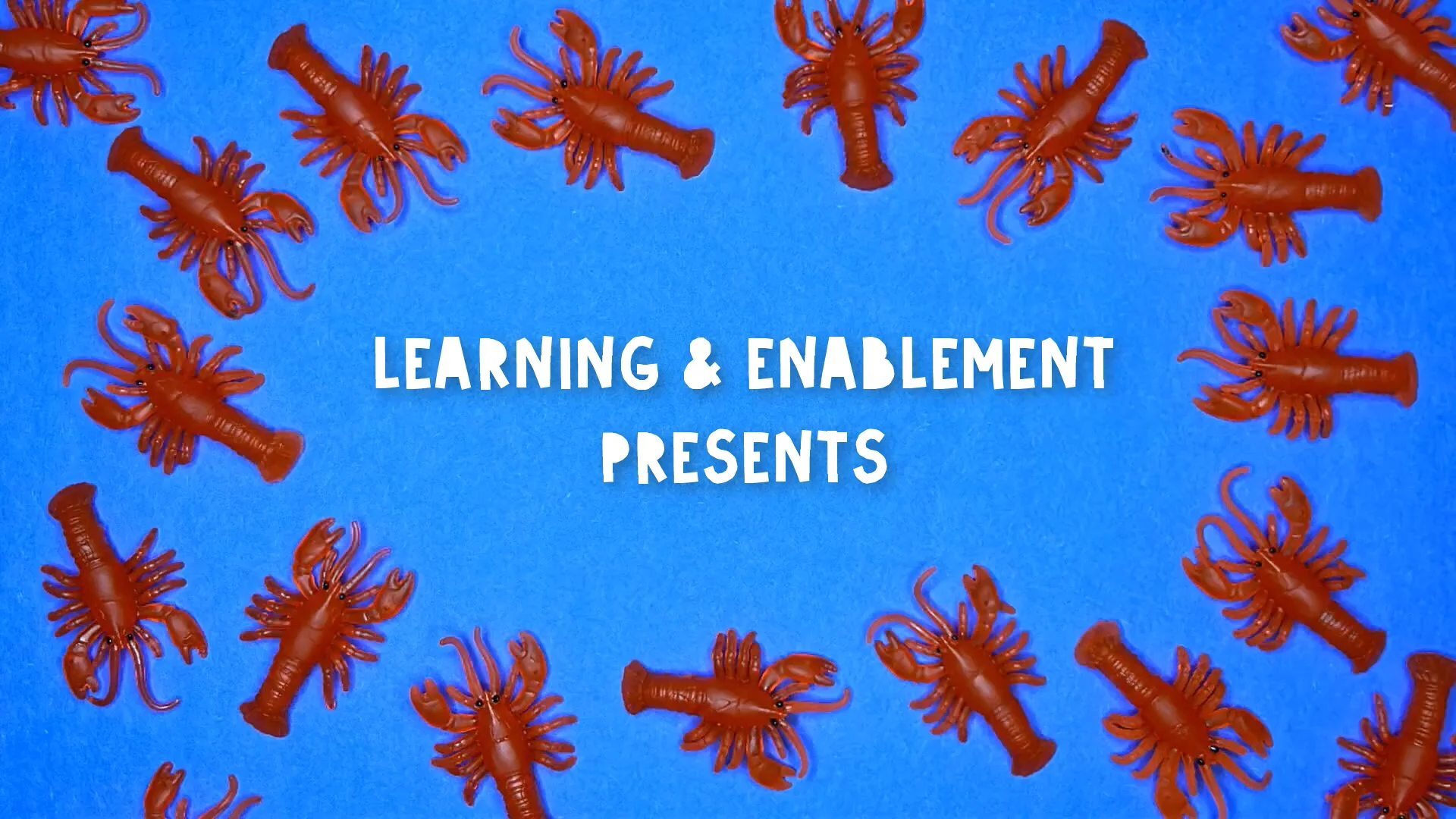 The Great Shrimp Escape on Vimeo