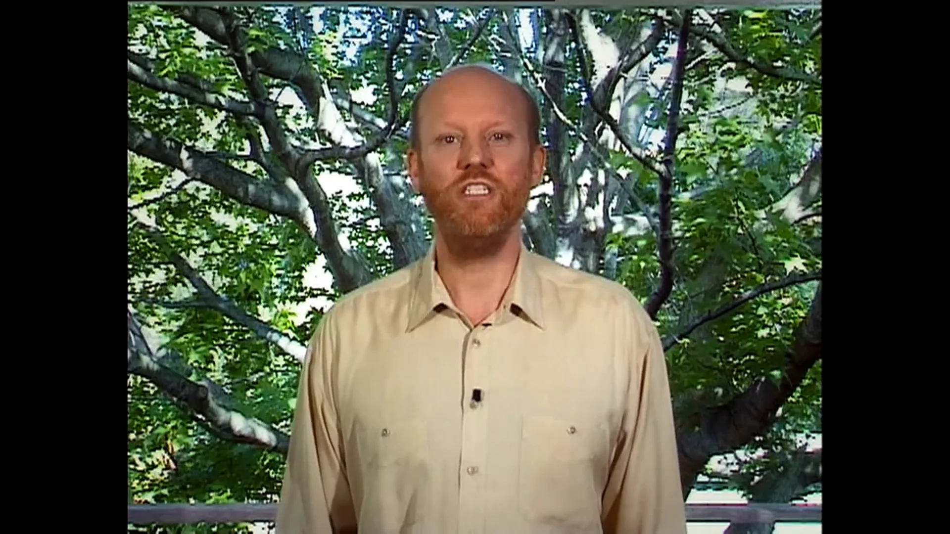 the-voice-dialogue-series-video-1-introduction-to-voice-dialogue-with