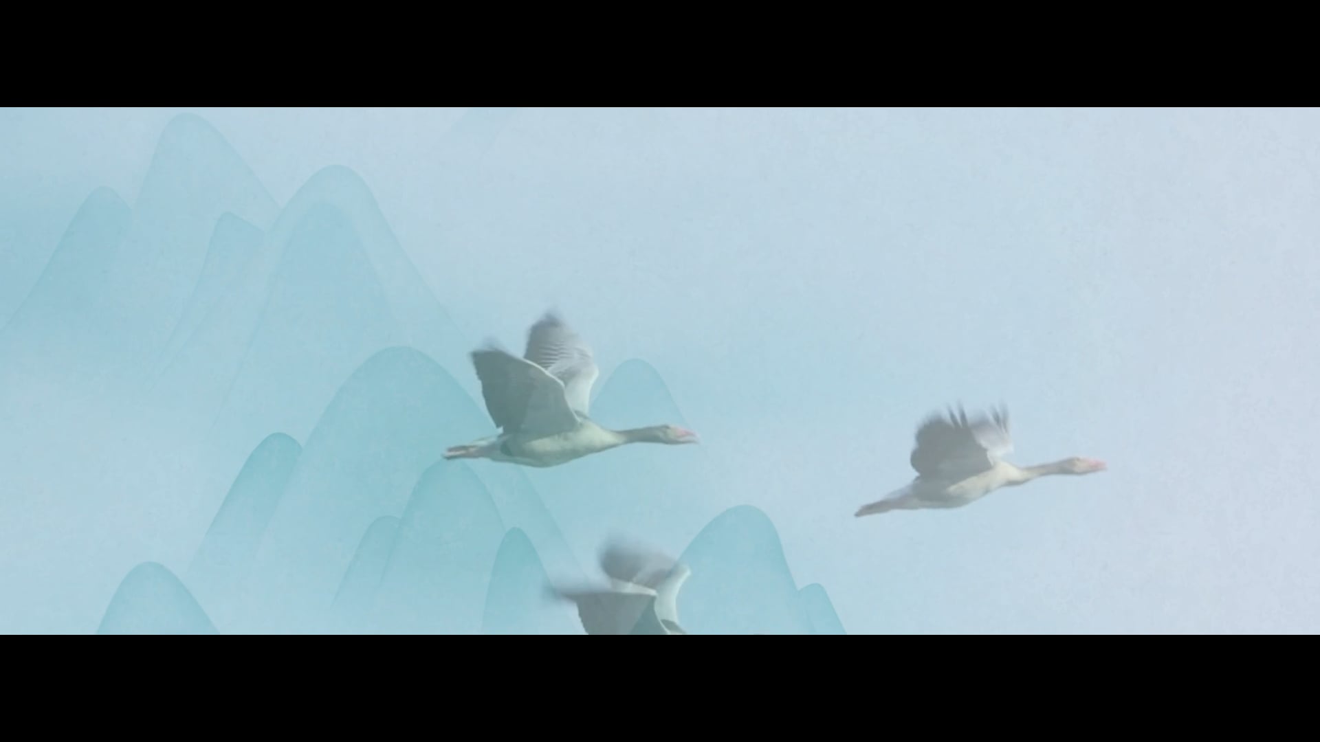 duckinheaven.com.au