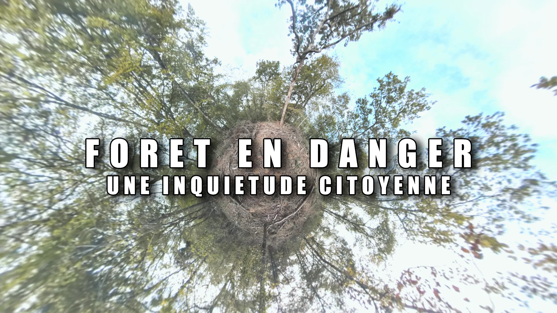 Forêt en danger : une inquiétude citoyenne on Vimeo