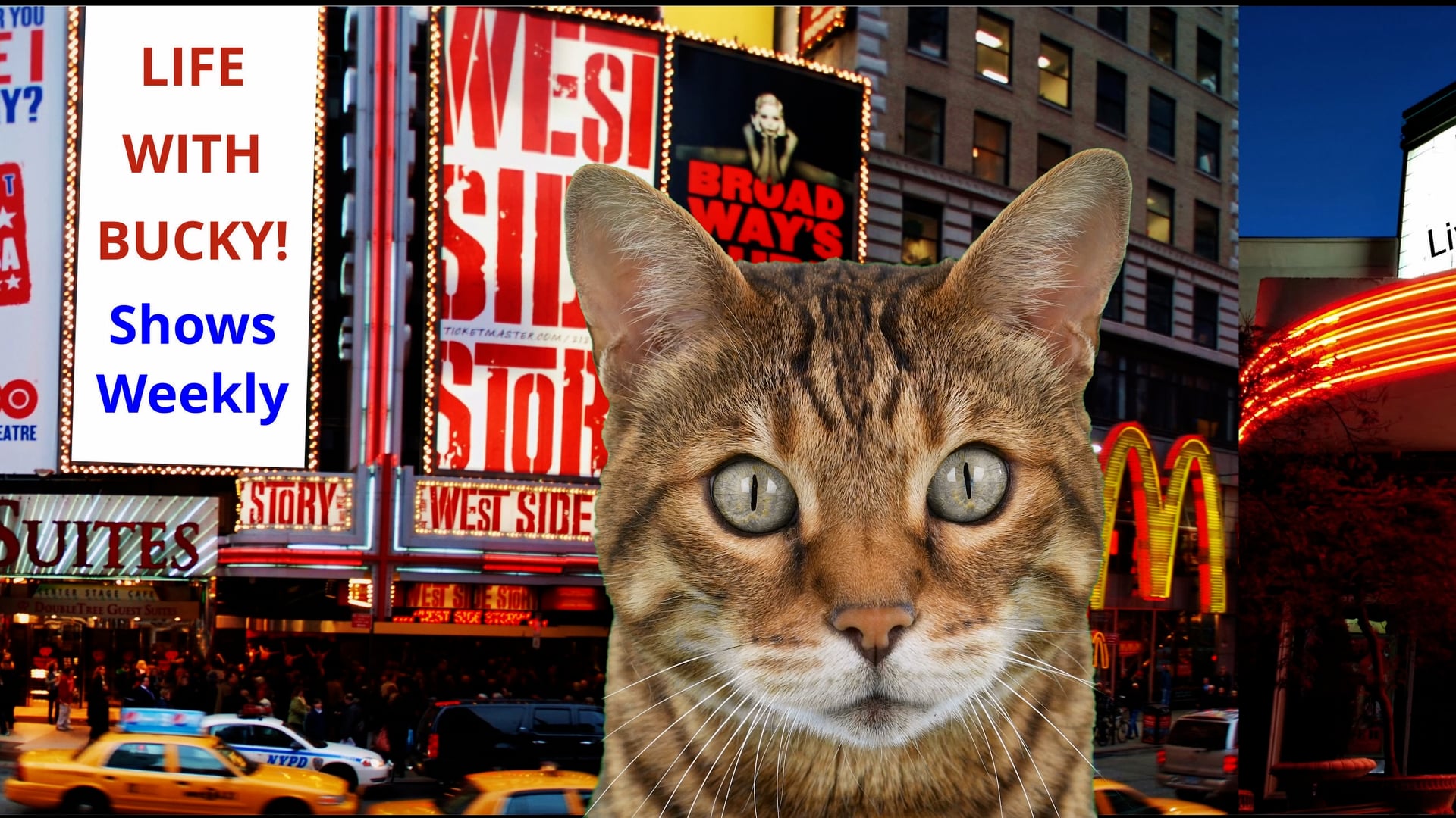 Hilarious Comedy Podcast with Bucky the Cat