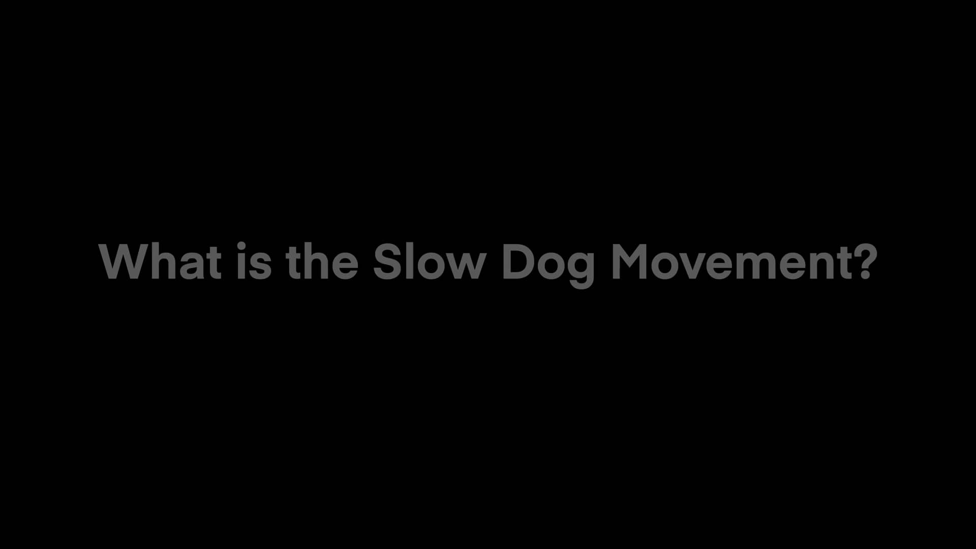 'What is the Slow Dog Movement?' on Vimeo