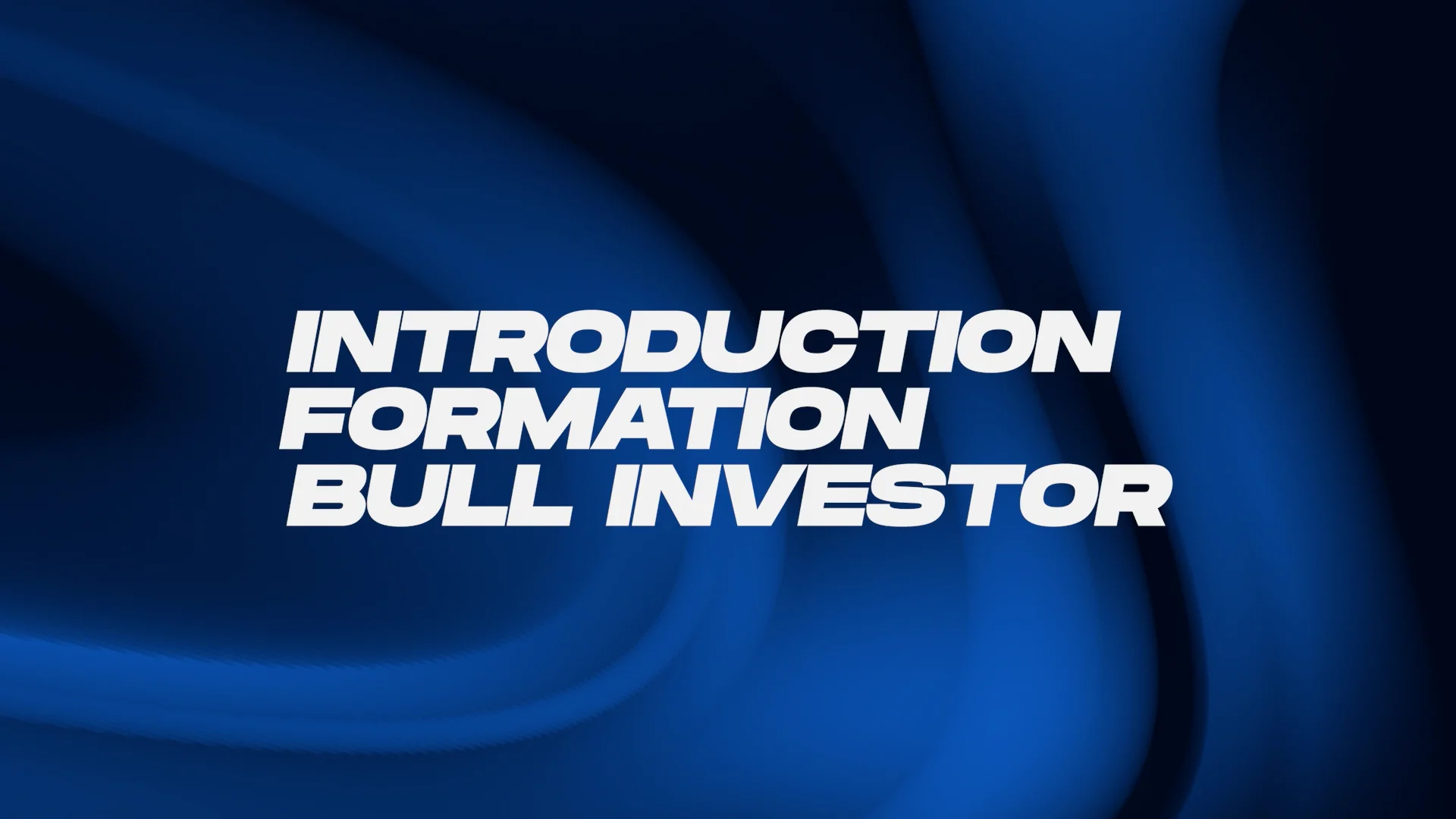 BIR - Introduction Formation Bull Investor (1) on Vimeo