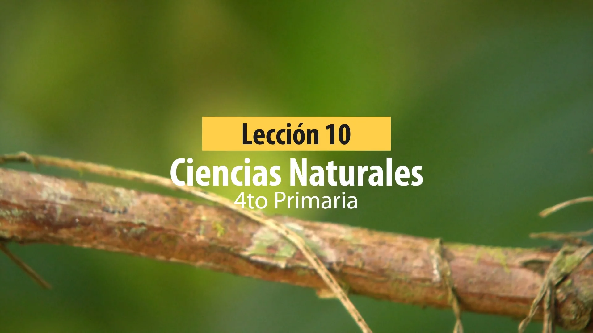 4P_Mes-01_V_N_CN_Lec10