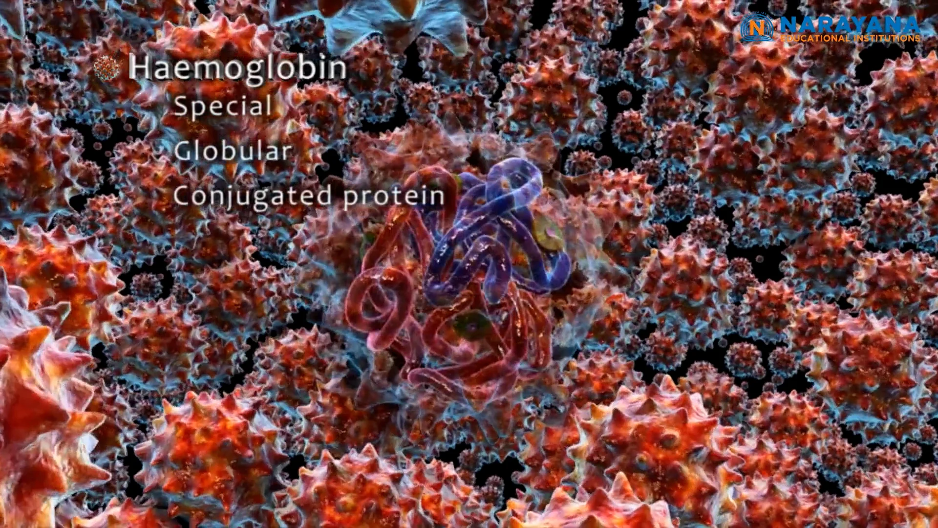 1269.Haemoglobin and Sickle cell anaemia-1001361 on Vimeo