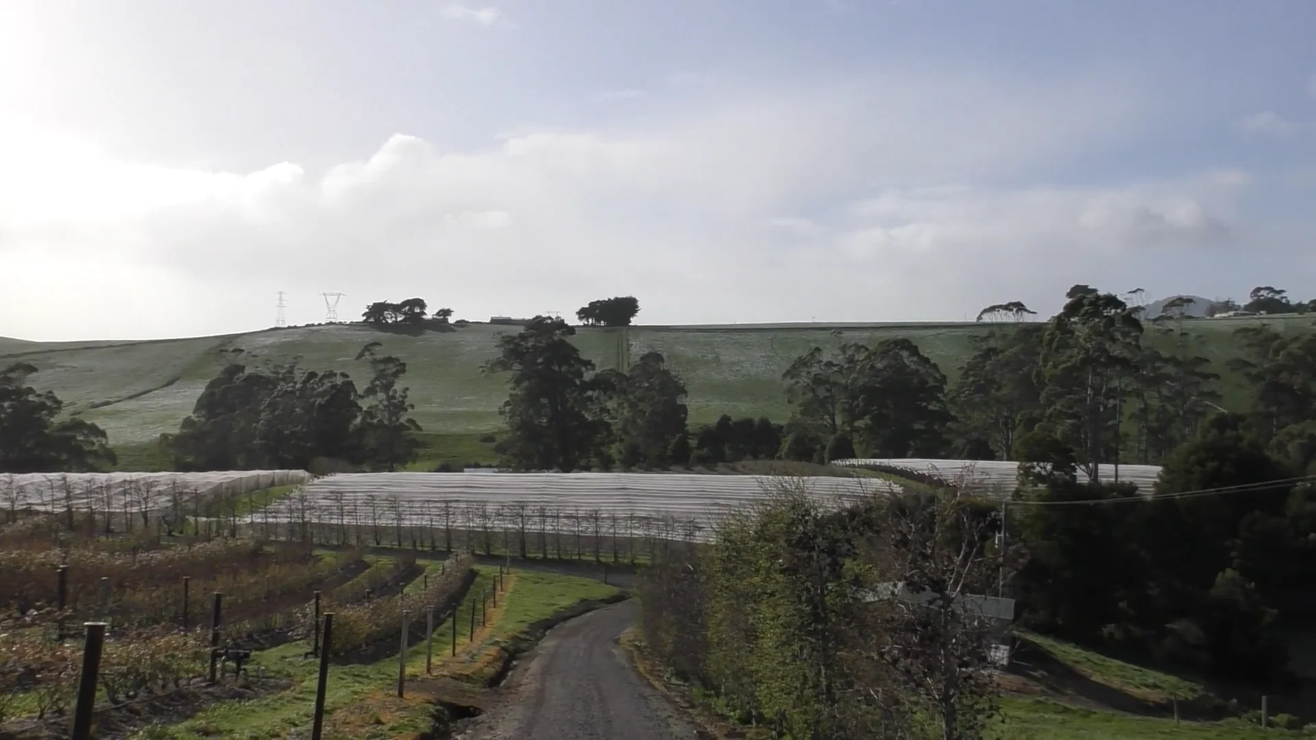 Tammy Degroot - Farm Manager Costa Berries Tasmania on Vimeo
