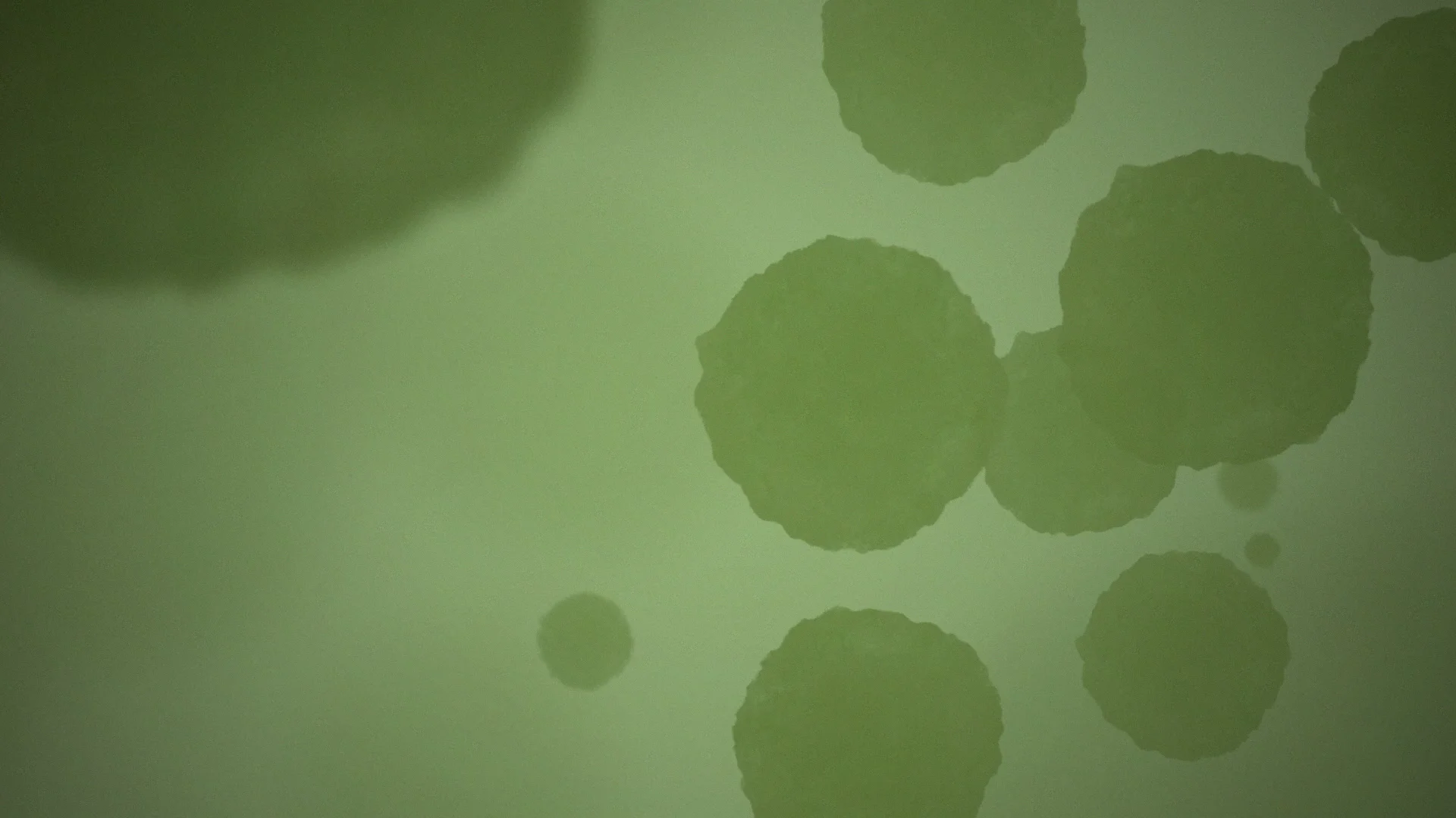 Smittekjeden_New on Vimeo