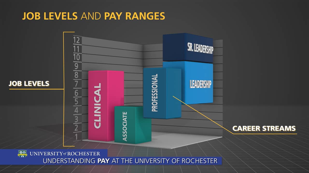 Job Levels and Pay Ranges on Vimeo