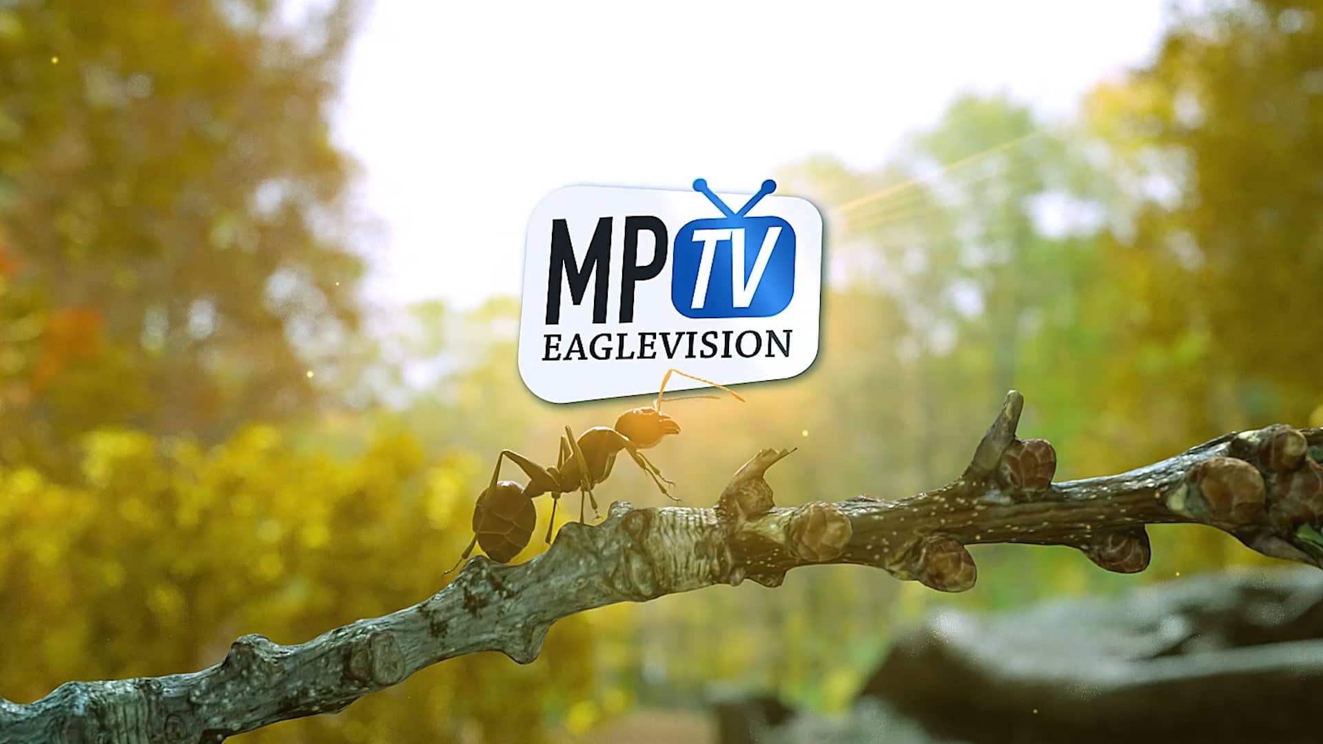 11/3/2023 MPTV News on Vimeo