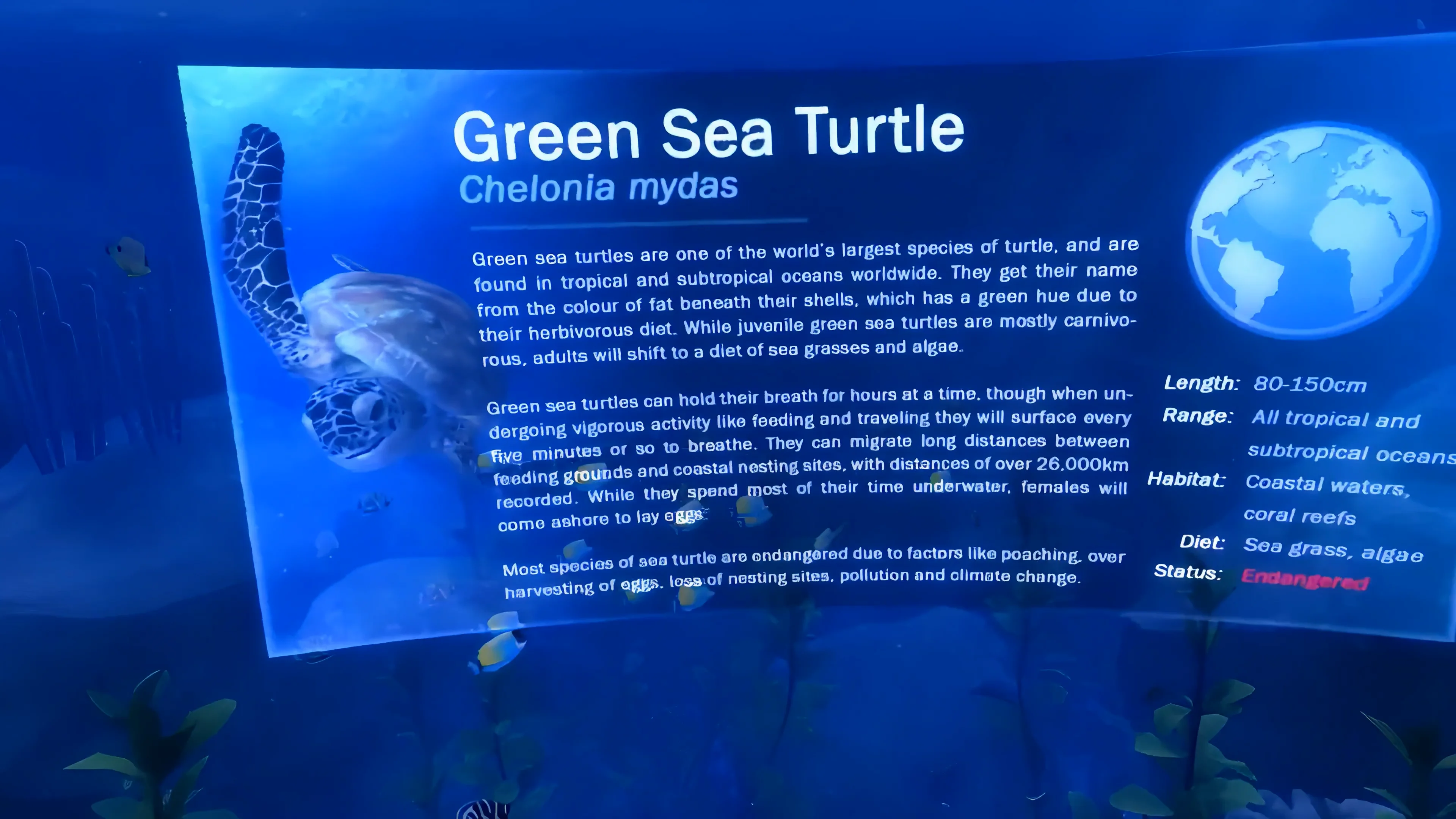 Vivid-VR-Deeep Sea Module on Vimeo