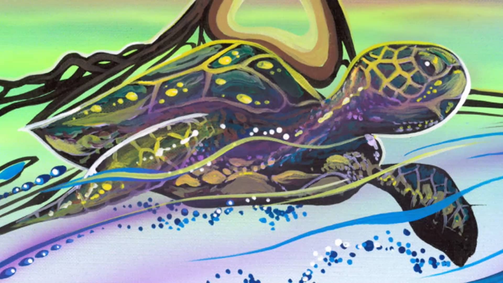 Jasyn Lucas | Turtle Tree on Vimeo