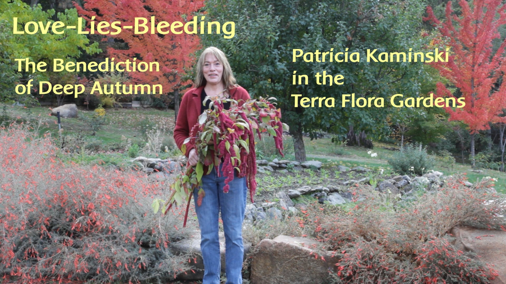 Love-Lies-Bleeding: The Benediction of Deep Autumn