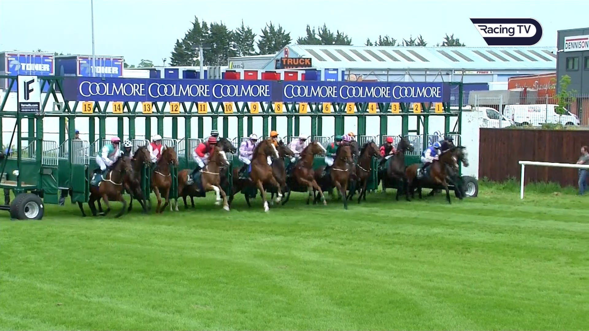 Coolmore Ireland Coolmore TV