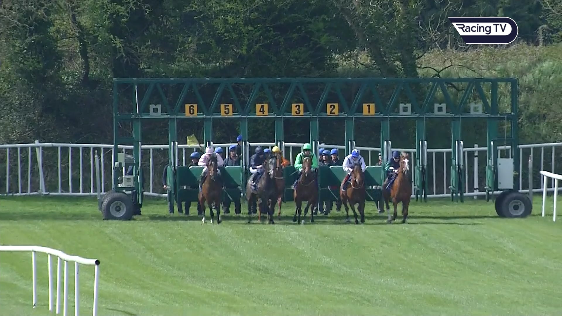 Coolmore Ireland Coolmore TV