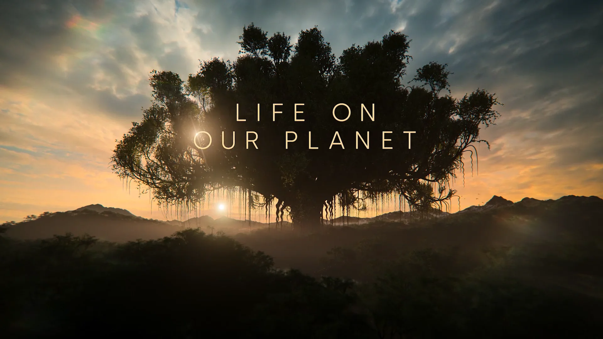 Life on Our Planet - Main Titles on Vimeo