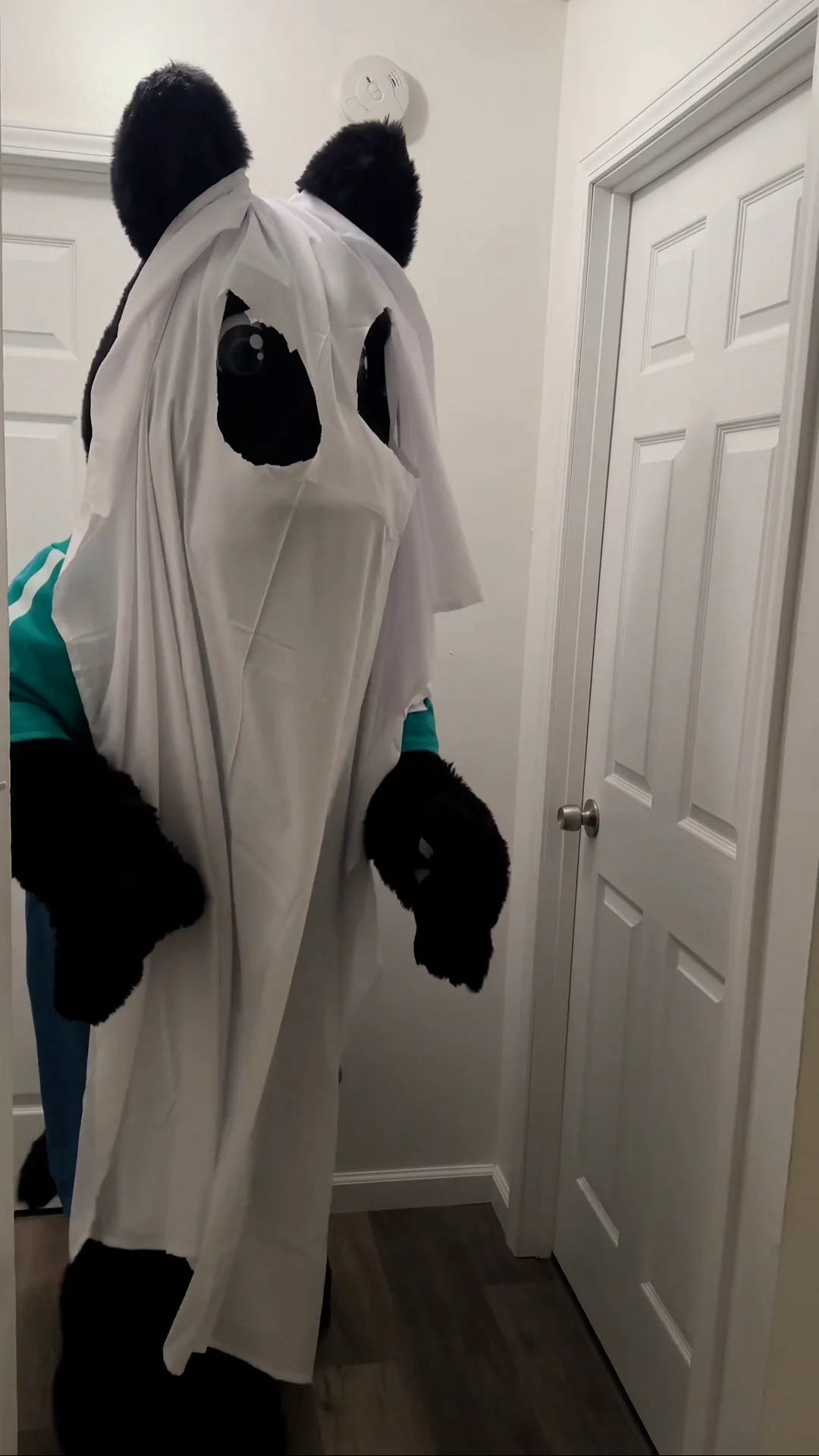 Scotty- Halloween Ghost Costume on Vimeo