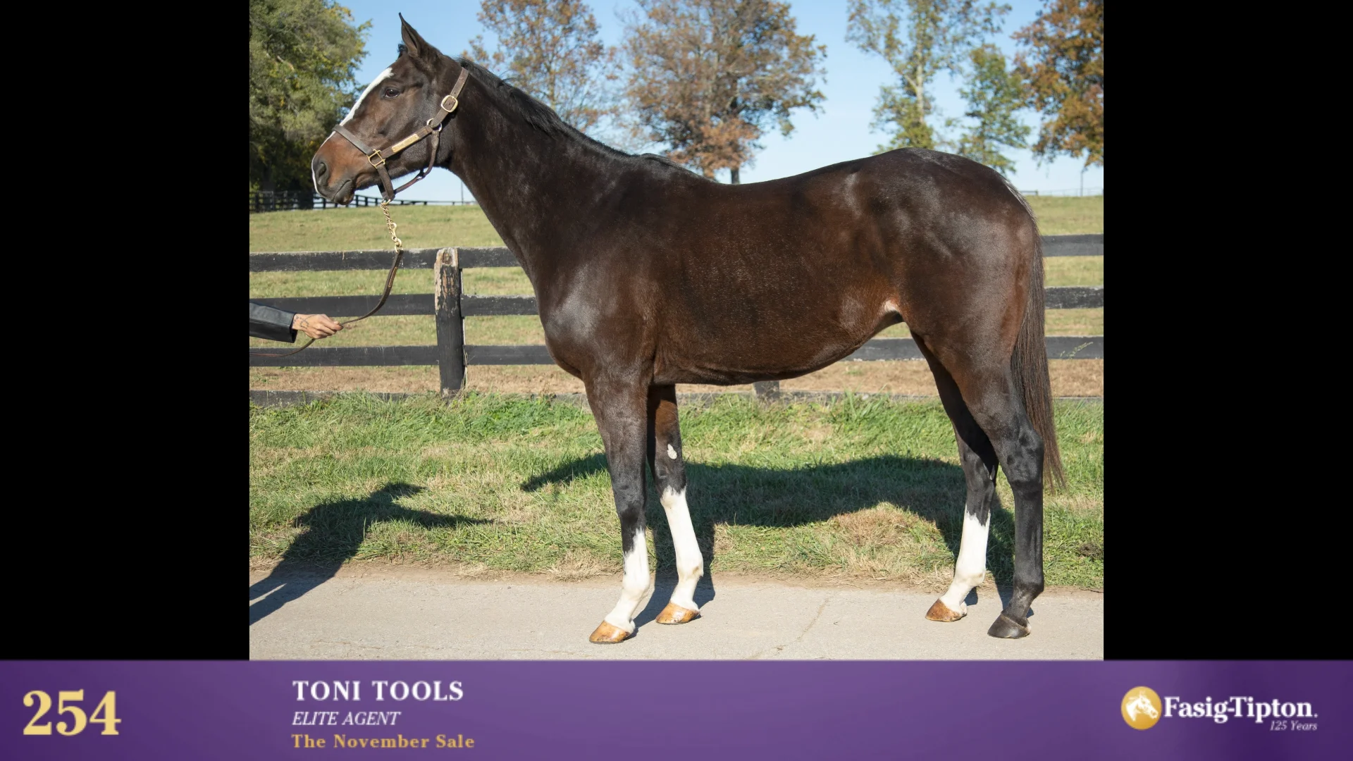 KEENOV23 254 Toni Tools on Vimeo