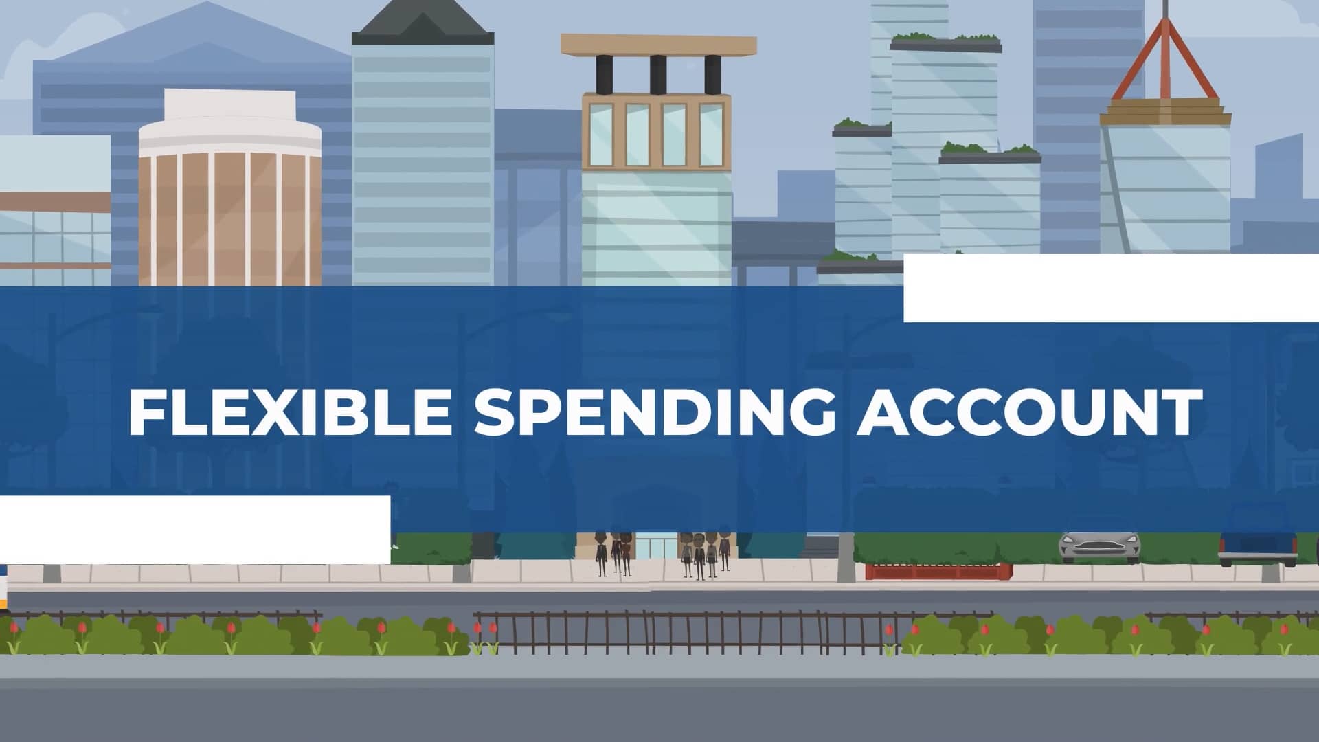 Paylocity FSA 2024 on Vimeo