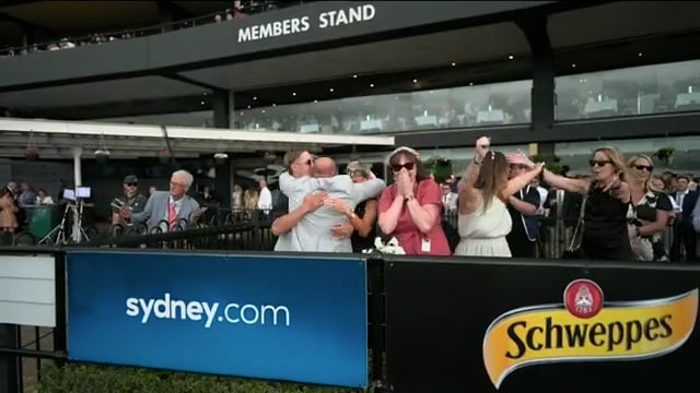 Shalaa - Stallion | Breednet