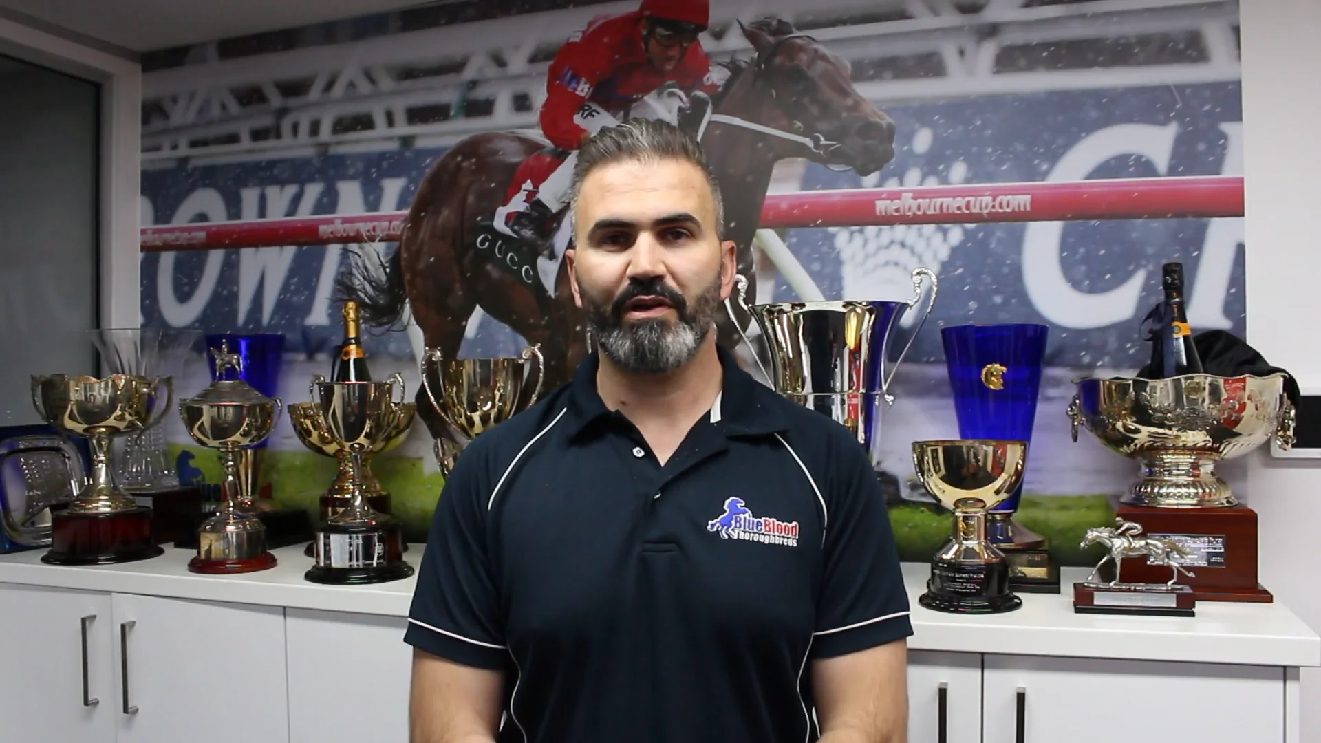 Fernao (IRE) 4YO Tried Gelding - David Mourad comments