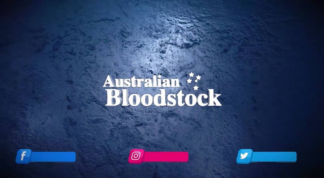 Starlight Nation on Vimeo