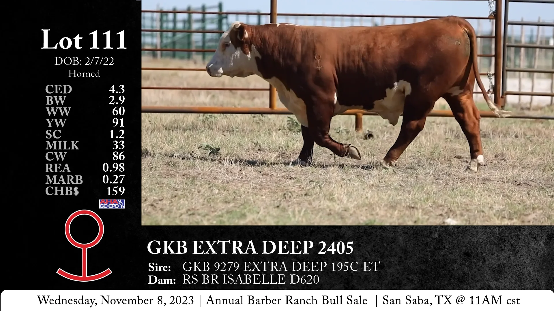 111 - GKB Cattle - Nov. 8 2023.mp4 on Vimeo