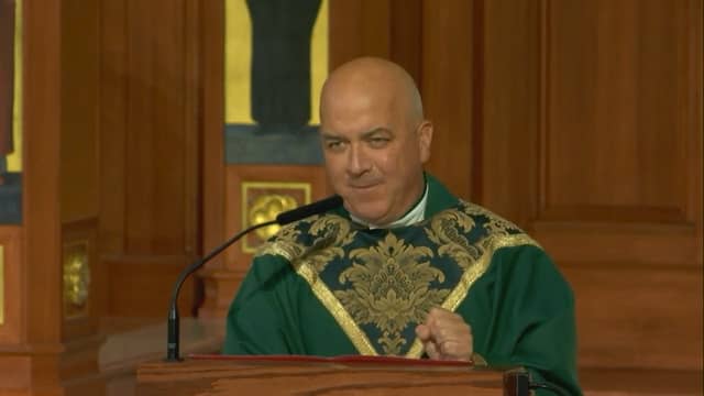 Fr. Tom Coogan's Homily for the Thirty-first Sunday in Ordinary Time on ...