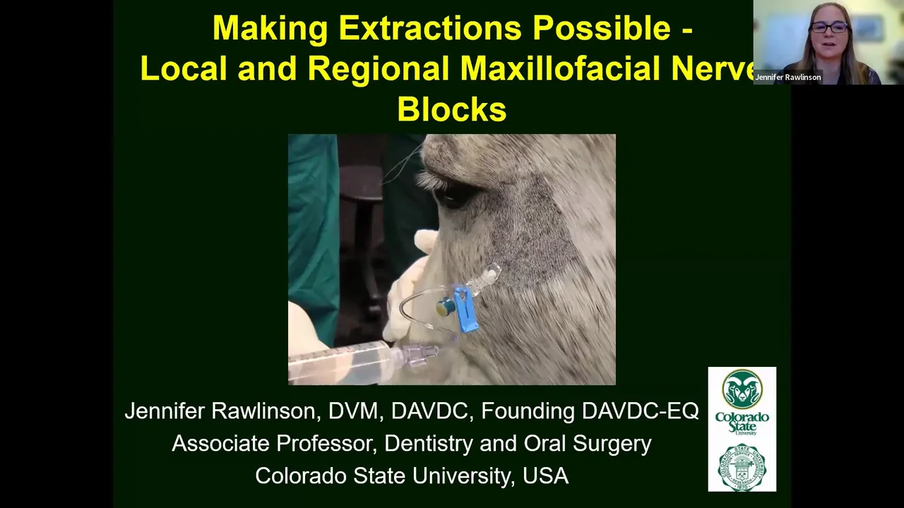 Watch Webinar HDE - Making Extractions Possible: Regional and Local ...