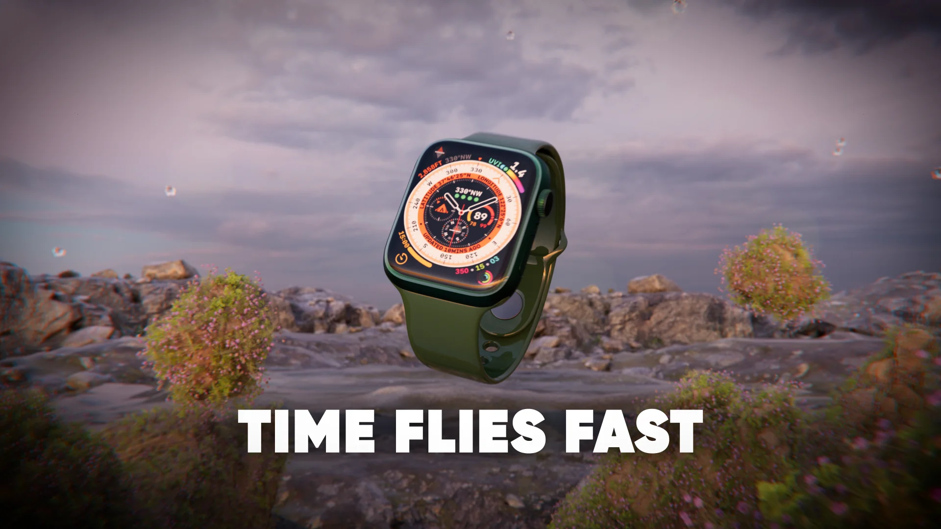 Time Flies Fast | Zolotarevych Anton