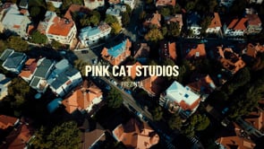 Pink Cat studios