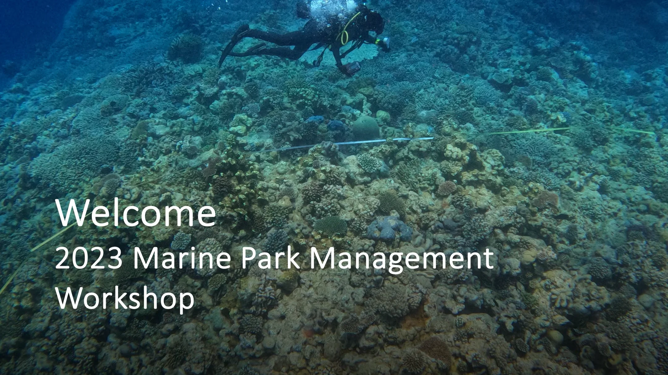 2023 Marine Park Management Workshop Day 1 on Vimeo