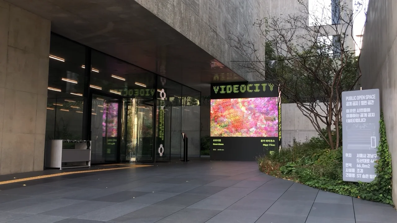 videocity on Vimeo