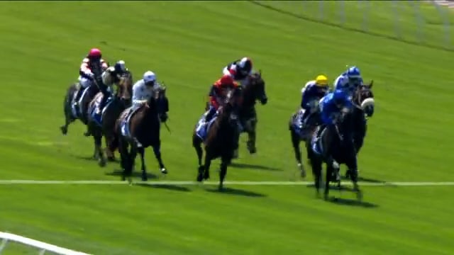 Exceedance - Stallion | Breednet