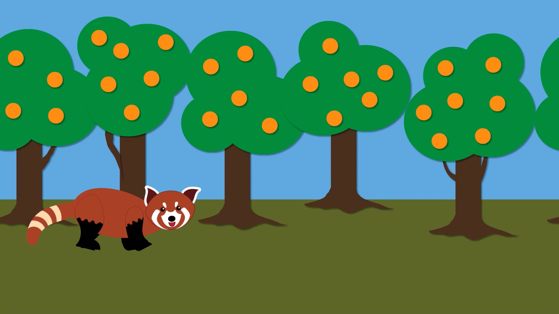 Rudy the Red Panda on Vimeo