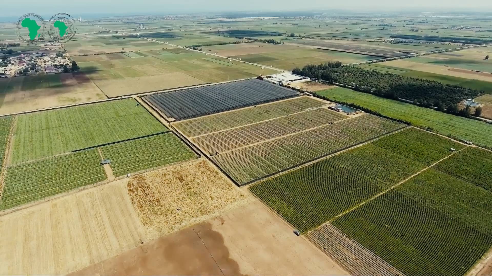 Special Agroindustrial Processing Zones, SAPZs in 2023 (EN) on Vimeo