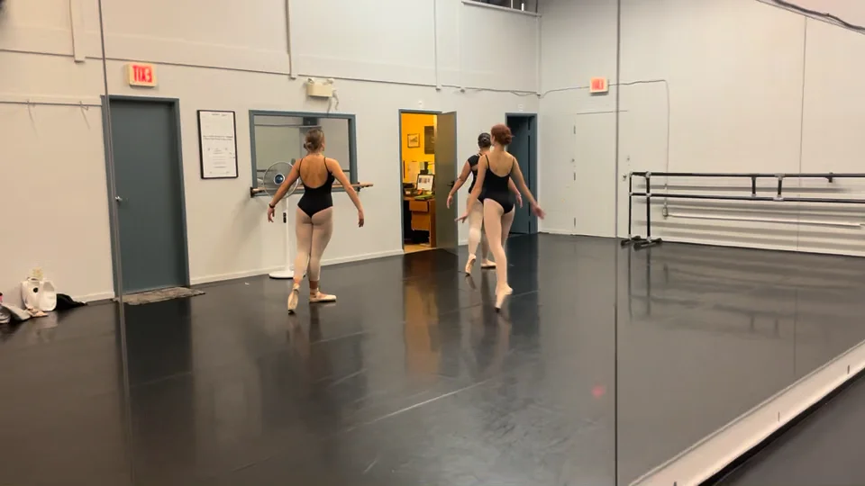Ballet Allegro Nov 7 A on Vimeo