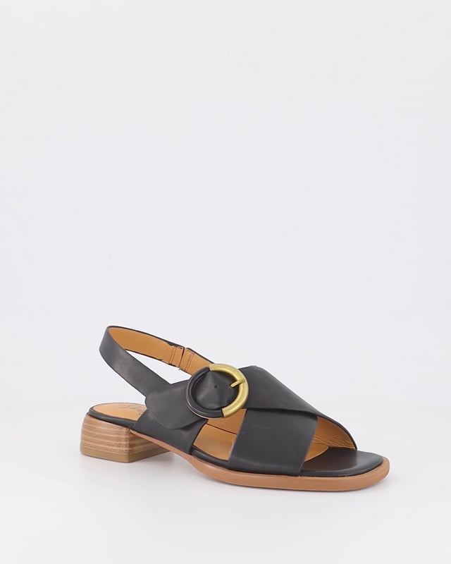 SHELLY SHEN Mila Sandals - Black | Shoe Connection AU