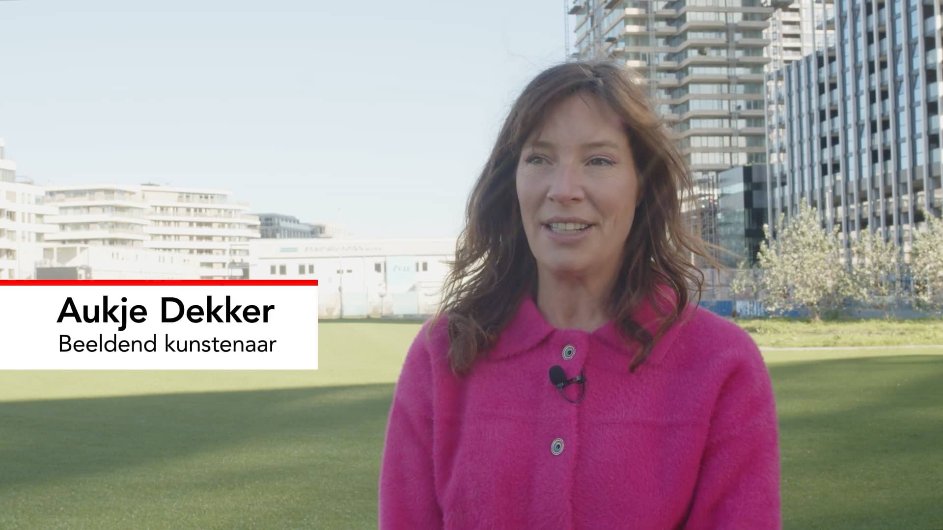 Kunstwerk Schegpark - Aukje Dekker on Vimeo