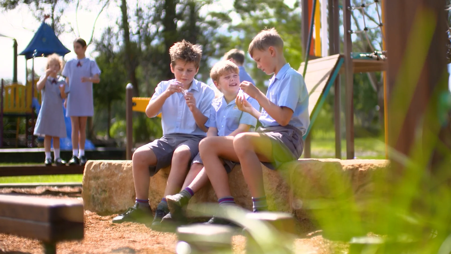 Welcome to Belrose Public School on Vimeo