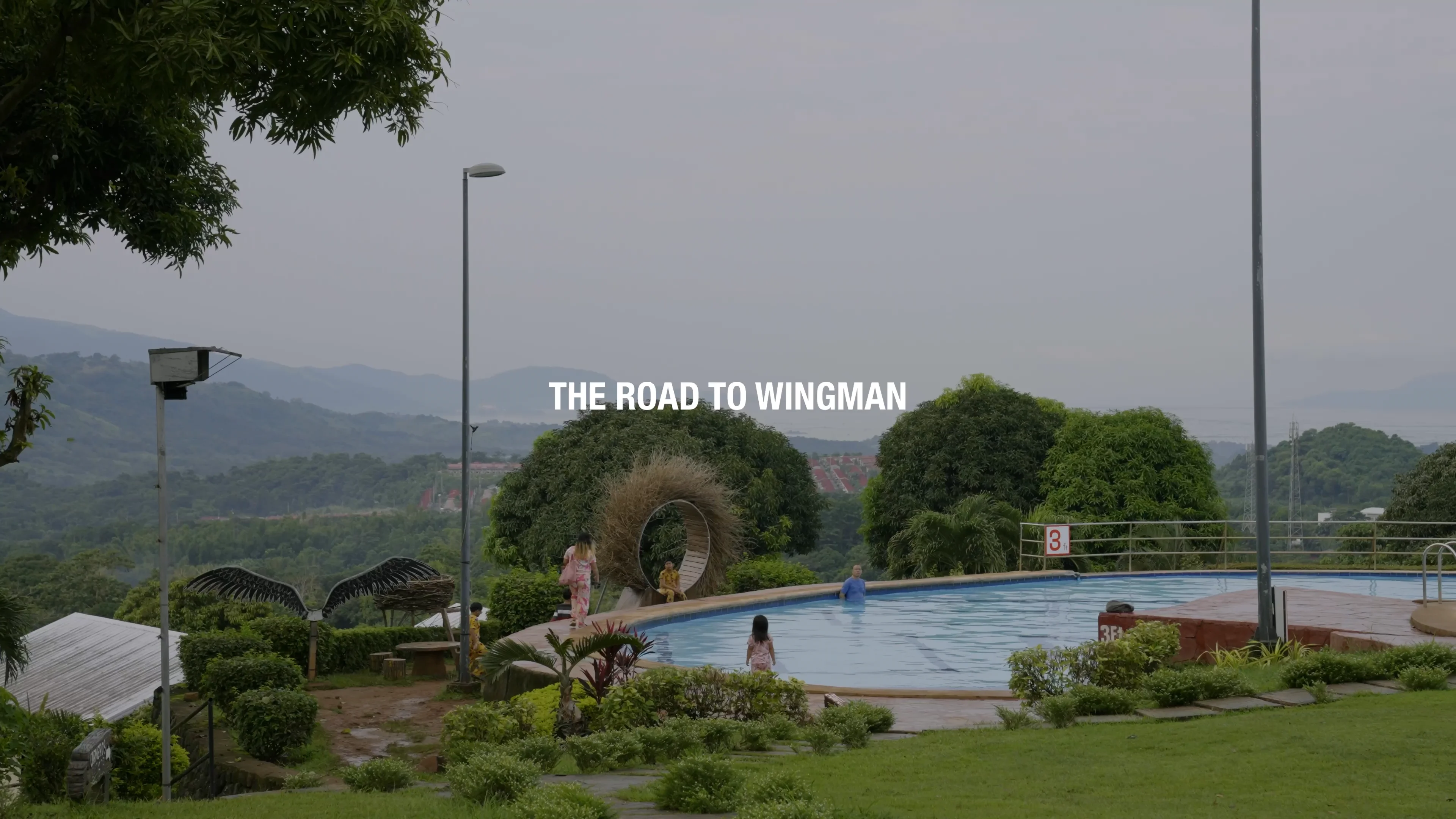 The Road to Wingman - Volume 1 - Social Cut 2