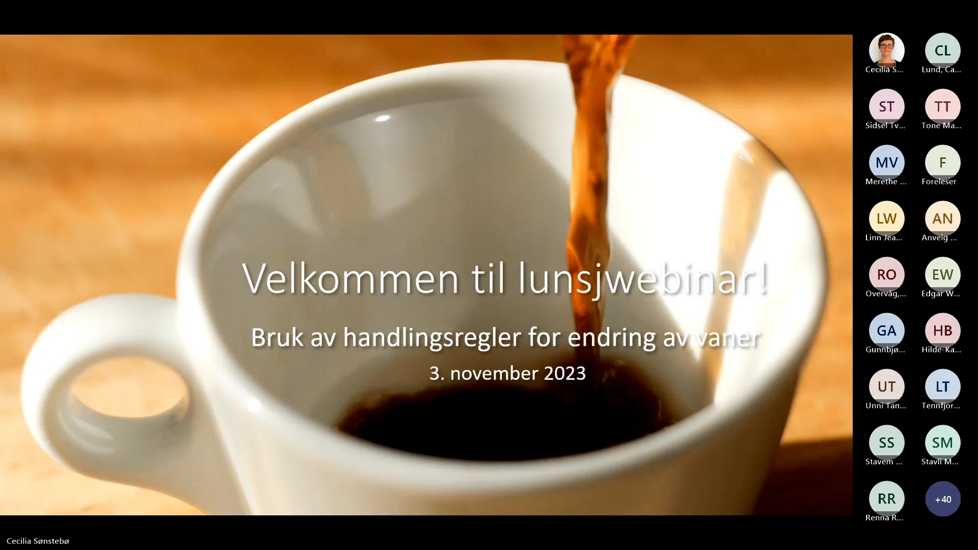 Webinar om bruk av handlingsregler for varig endring